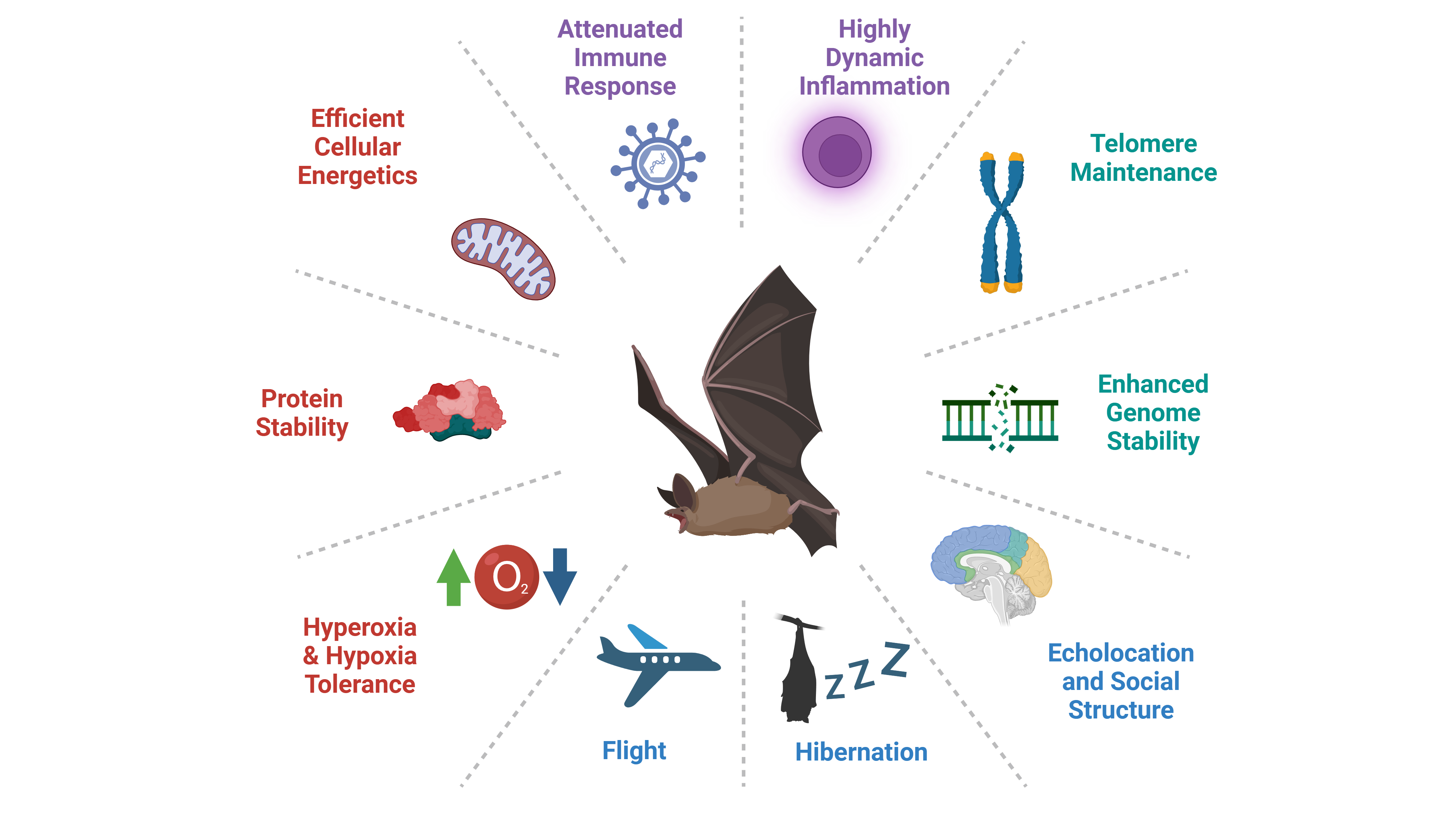 New preprint: "Extensive longevity and DNA virus-driven adaptation in ...