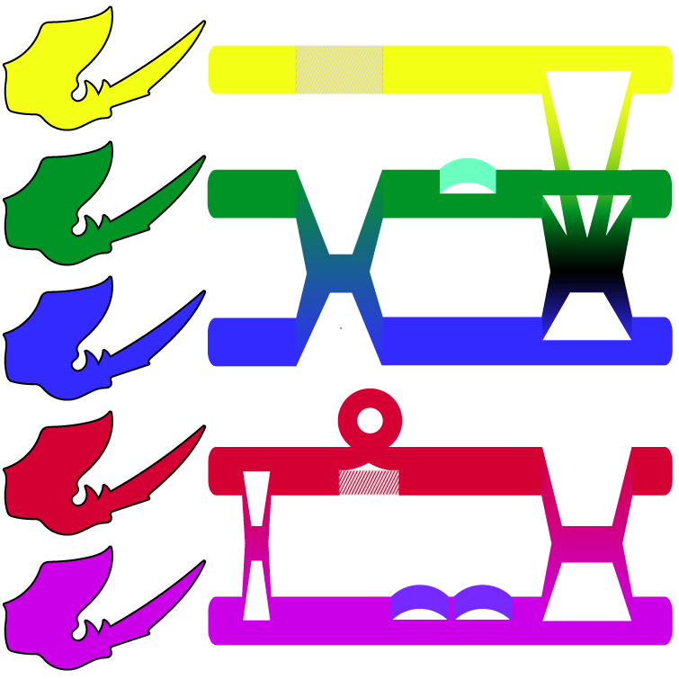 Myotis Pangenome Project | The Vazquez Lab